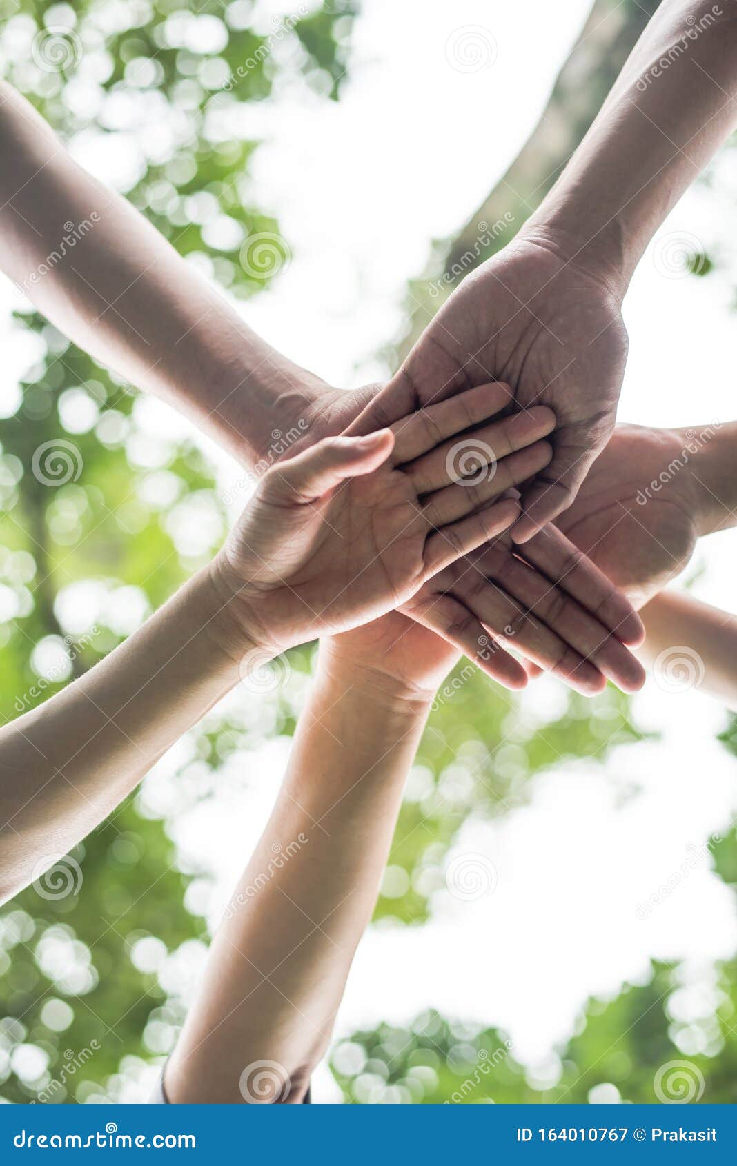 Close Up Team Students Teamwork Stack Hands Together. Startup, Success ...