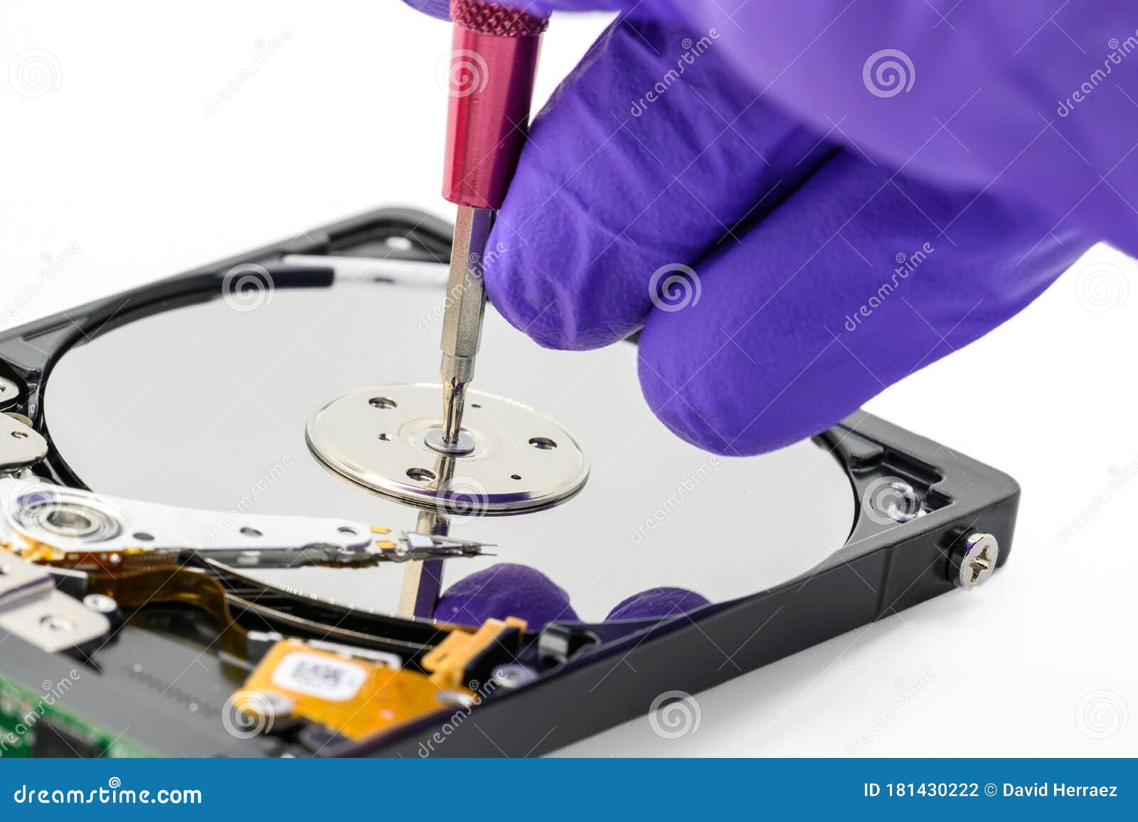 Close Up of Technician Repairing Hard Disk Drive by Screwdriver in the ...