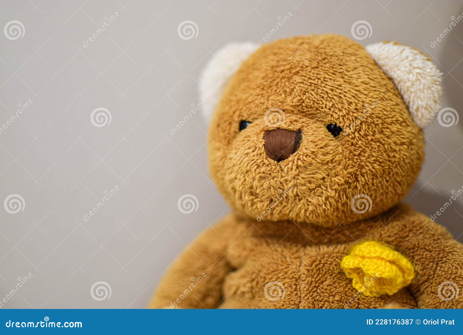 Close-up of a Teddy Bear Smiling Stock Image - Image of health, bear ...