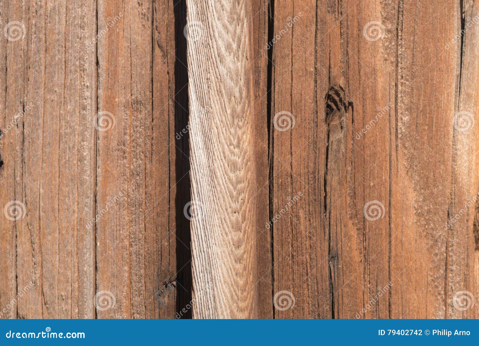 Close Up of a Telephone Pole Stock Photo - Image of environment ...
