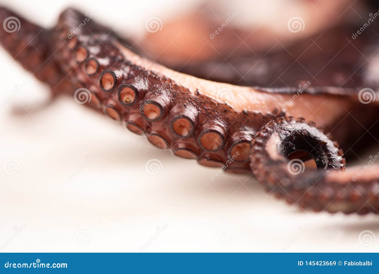 Tentacle Of Octopus Royalty-Free Stock Image | CartoonDealer.com #57059308