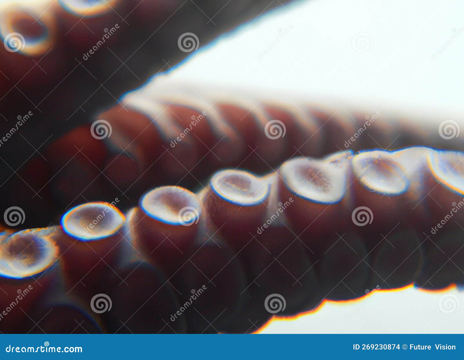 Close Up of Tentacles Created Using Generative Ai Technology Stock ...