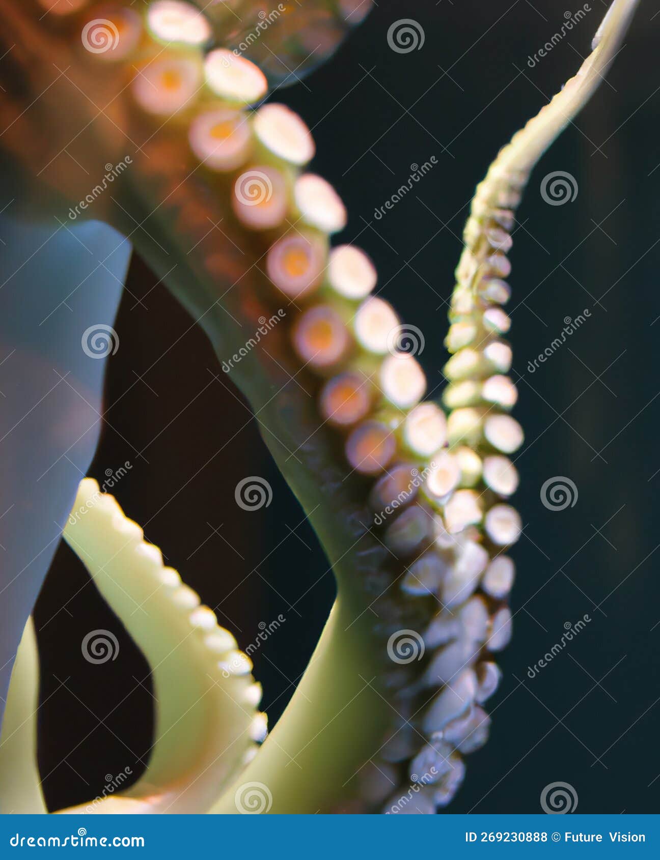 Close Up of Tentacles Created Using Generative Ai Technology Stock ...