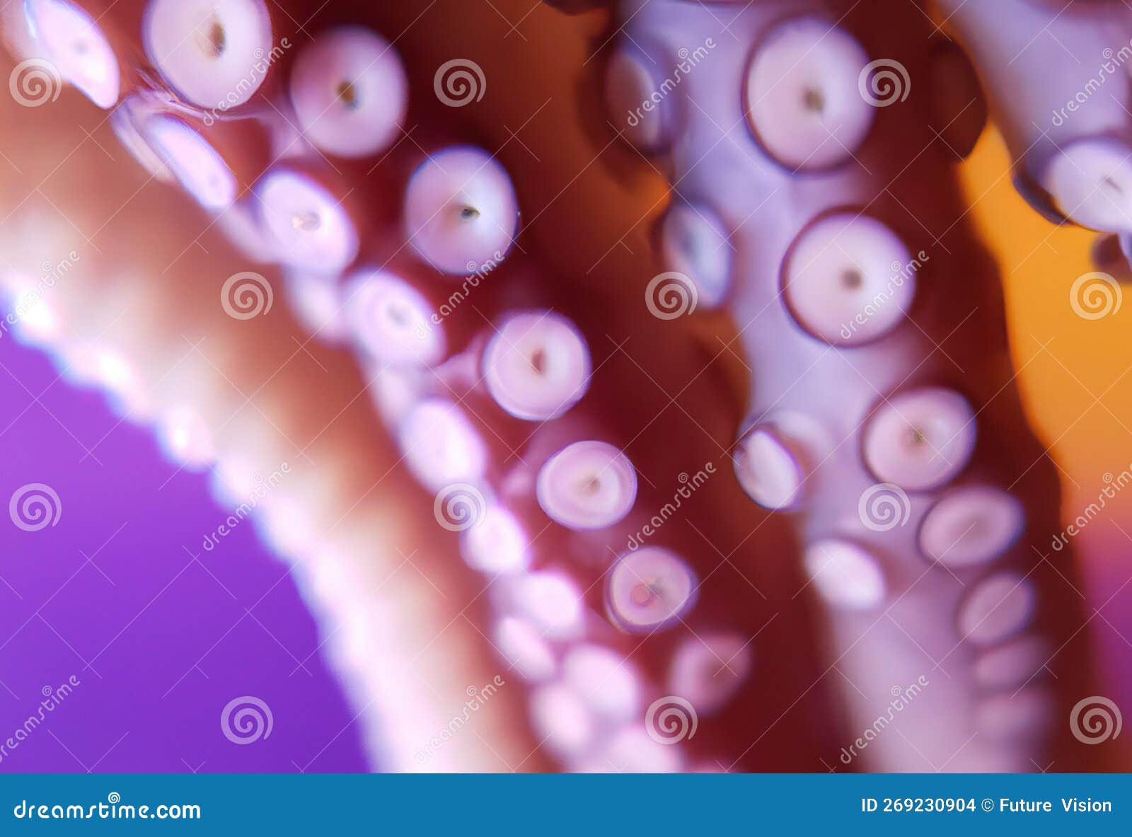 Close Up of Tentacles Created Using Generative Ai Technology Stock ...