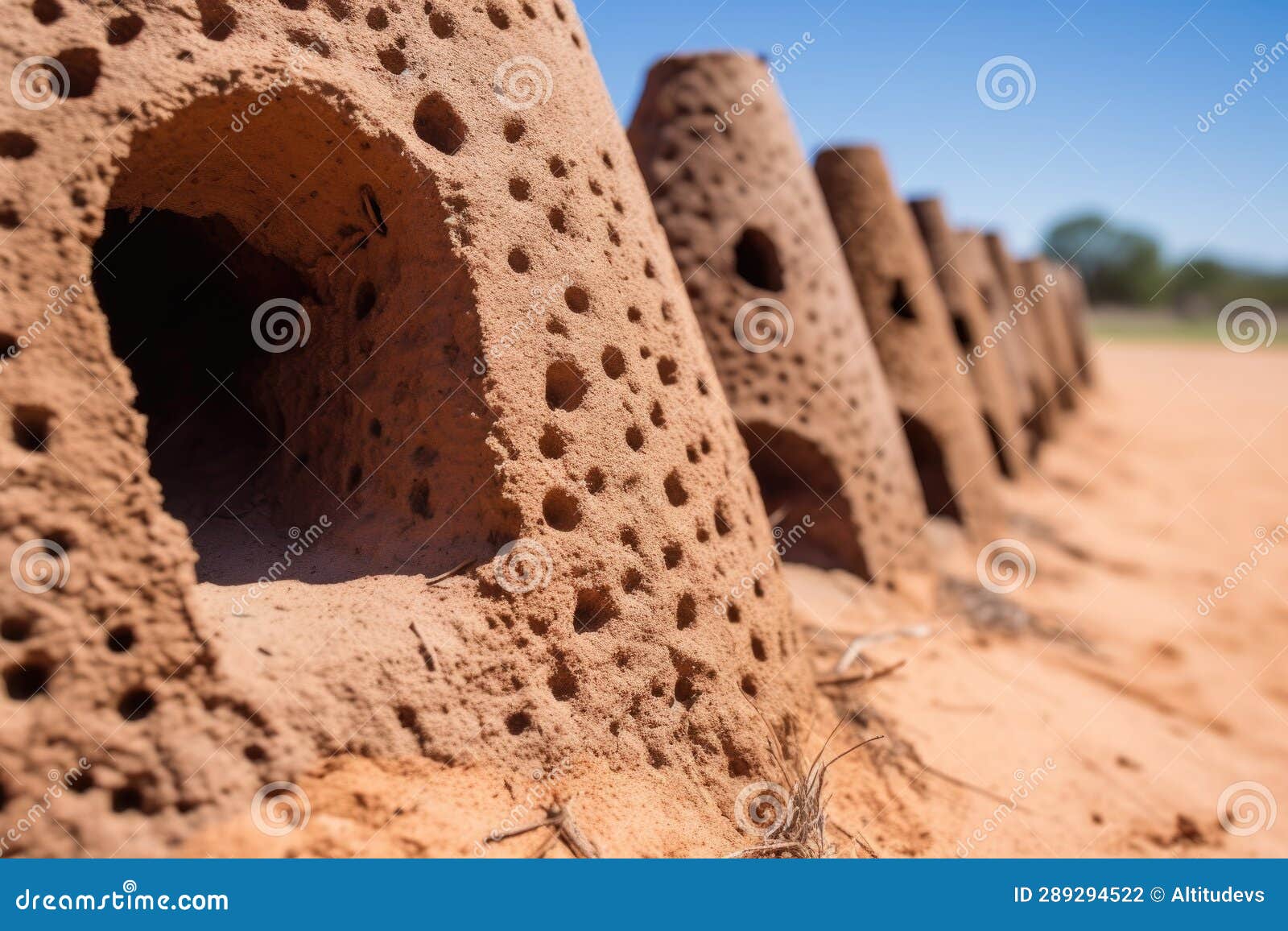 Close-up of Termite Mound Ventilation Holes Stock Illustration ...