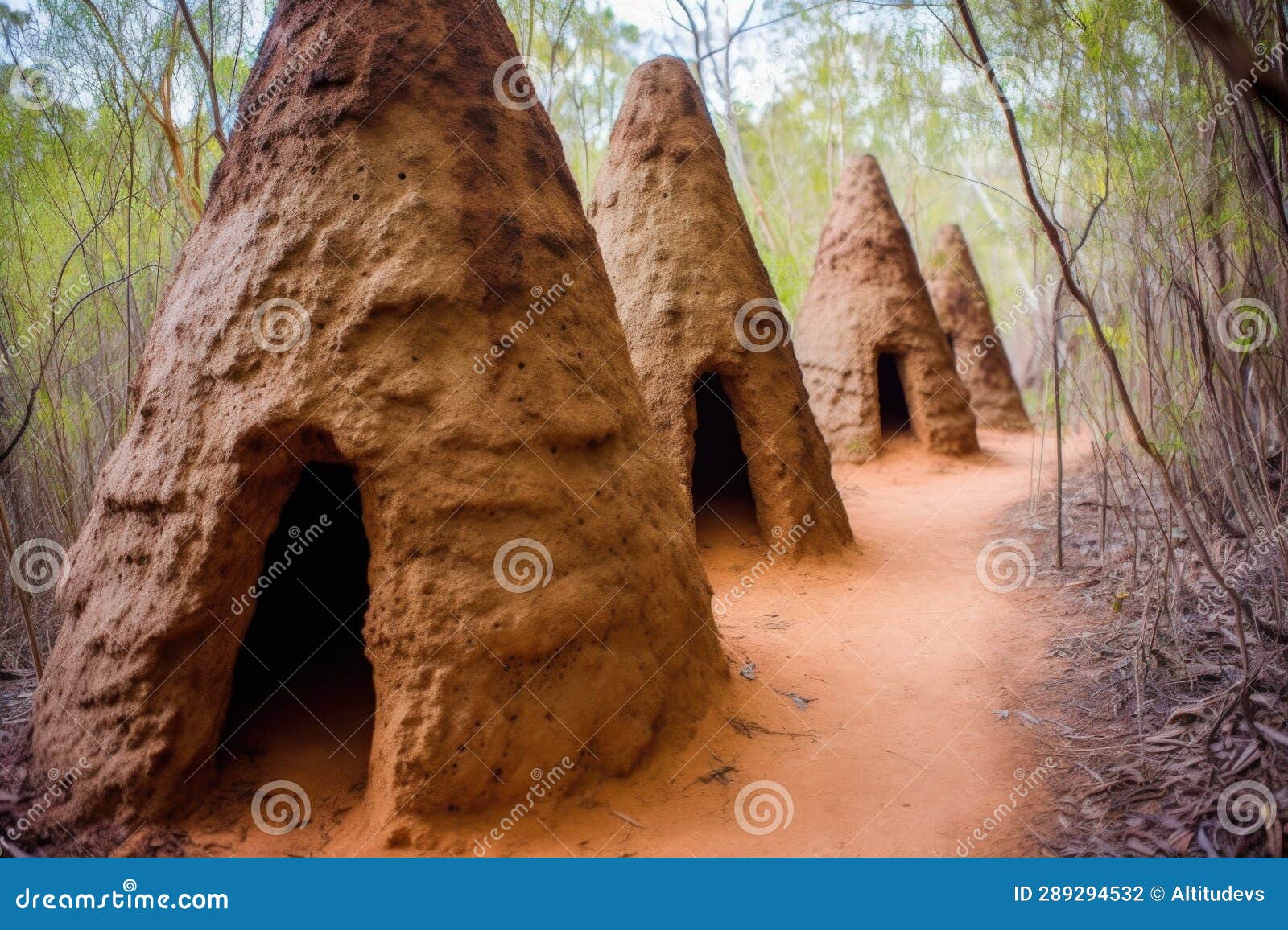 Termite Mound Royalty-Free Illustration | CartoonDealer.com #294987945