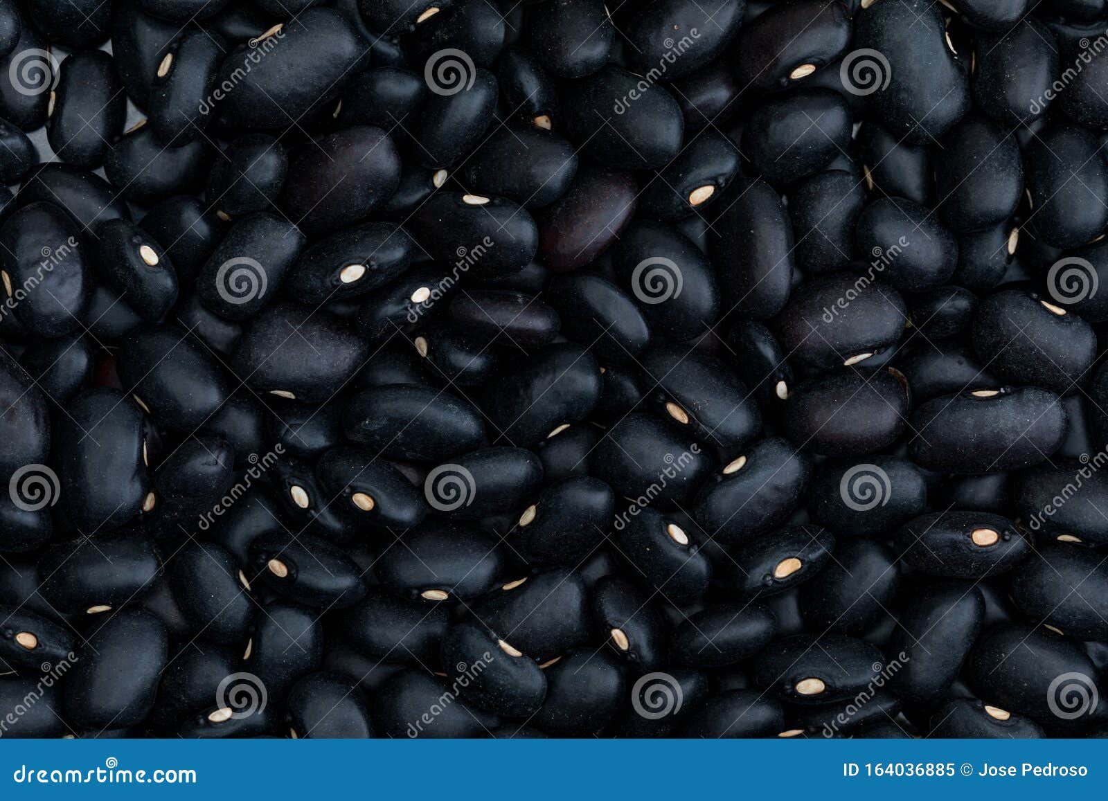 Close-up Texture of Beans - Raw Black Beans Legume Stock Image - Image ...