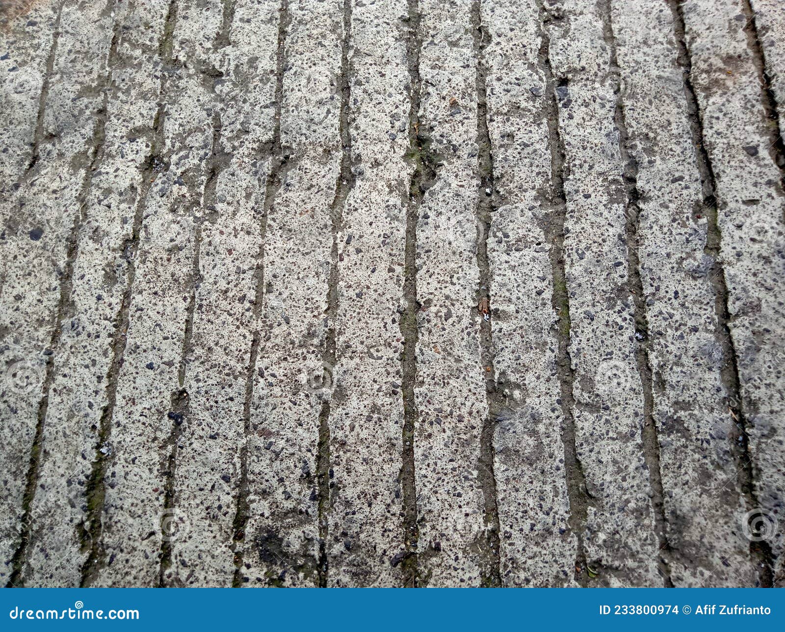 Close Up of Texture of Concrete Stock Photo - Image of concrete, plant ...