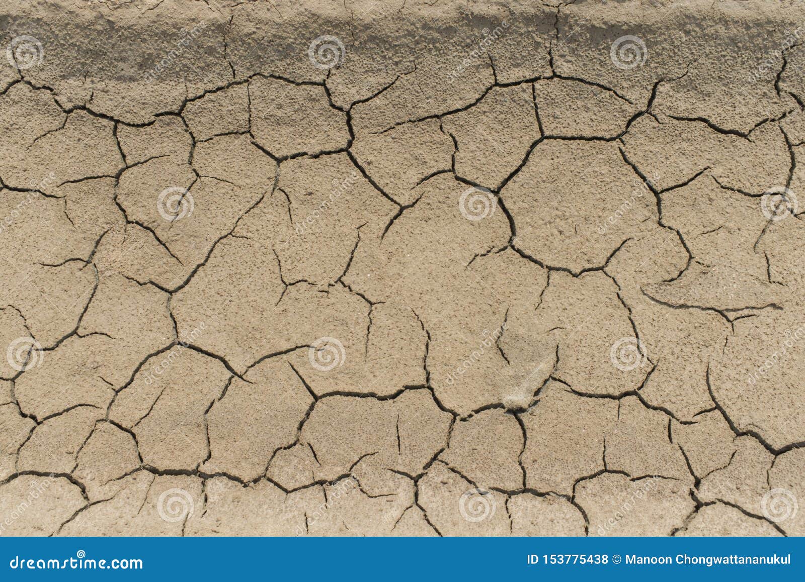 Dry earth cracking texture stock photo. Image of environment - 153775438