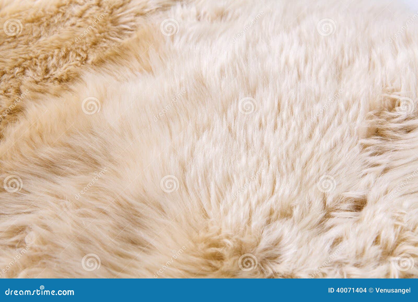 Close Up Texture of Fur Carpet Stock Photo - Image of closeup, skin ...