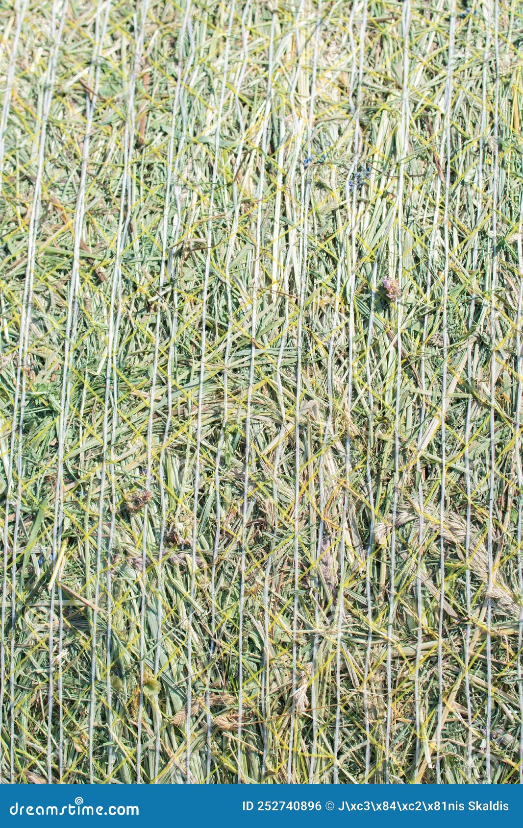 Bale Roll Straw Texture Stock Photography | CartoonDealer.com #48086060