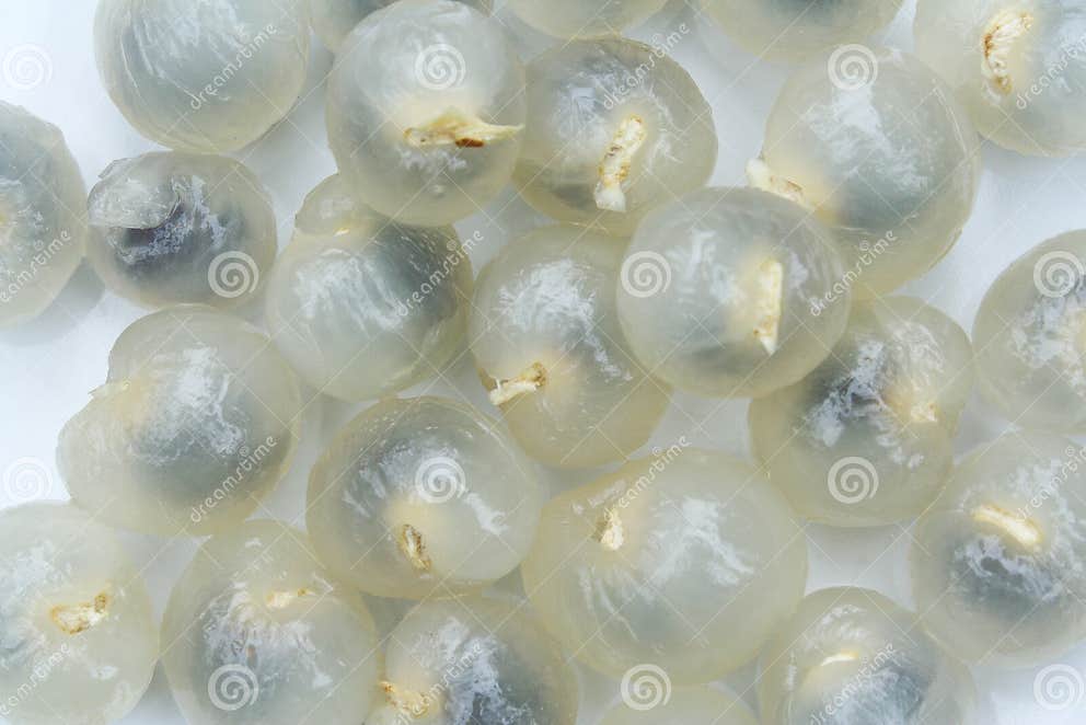 Texture longan fruit stock image. Image of longan, group - 134345845
