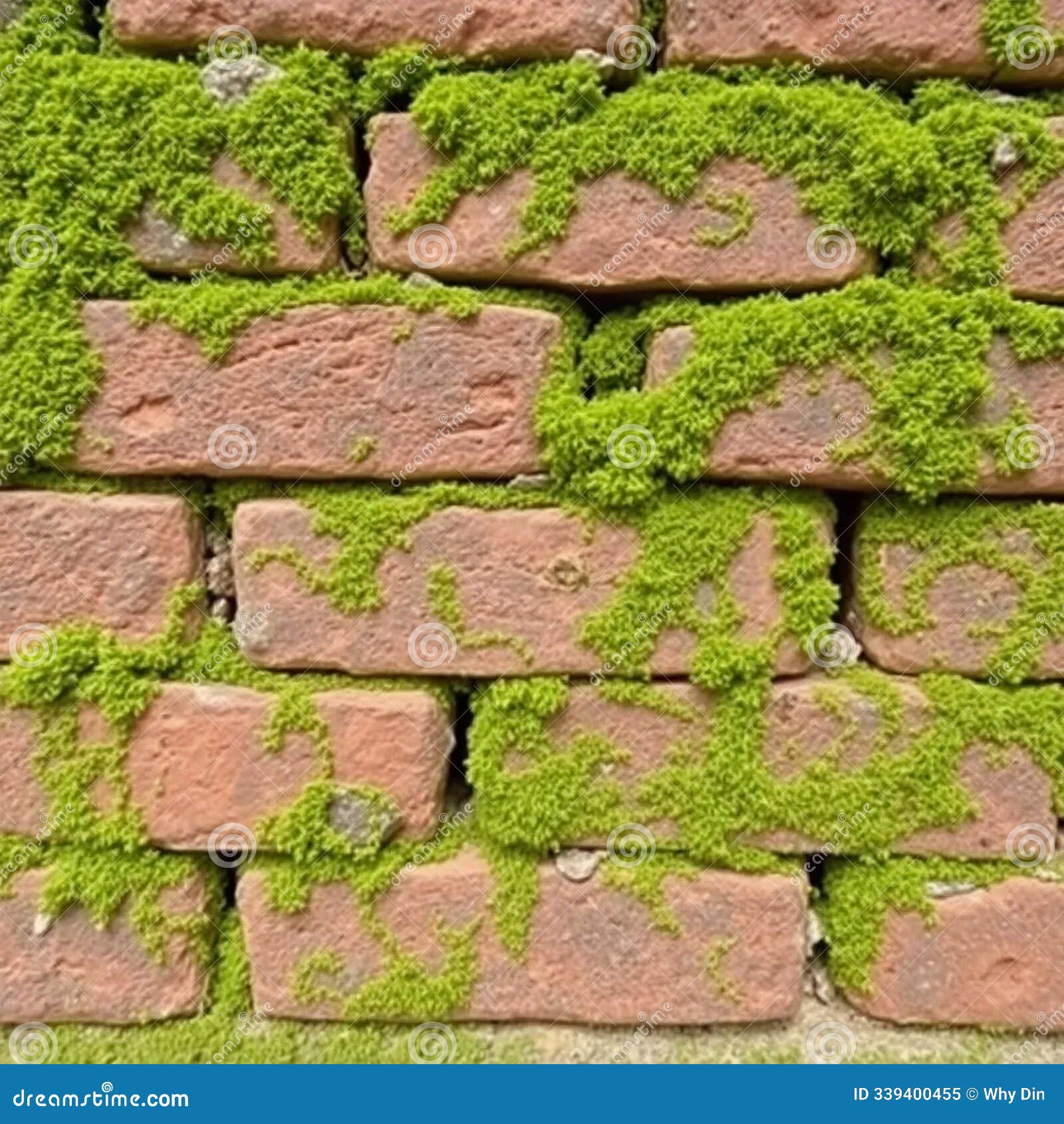 Close-up Texture of a Moss-covered Brick Wall Stock Image - Image of ...