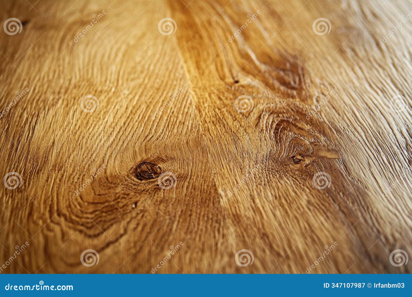 Close-up Texture of Oak Wood Grain Stock Image - Image of wooden ...