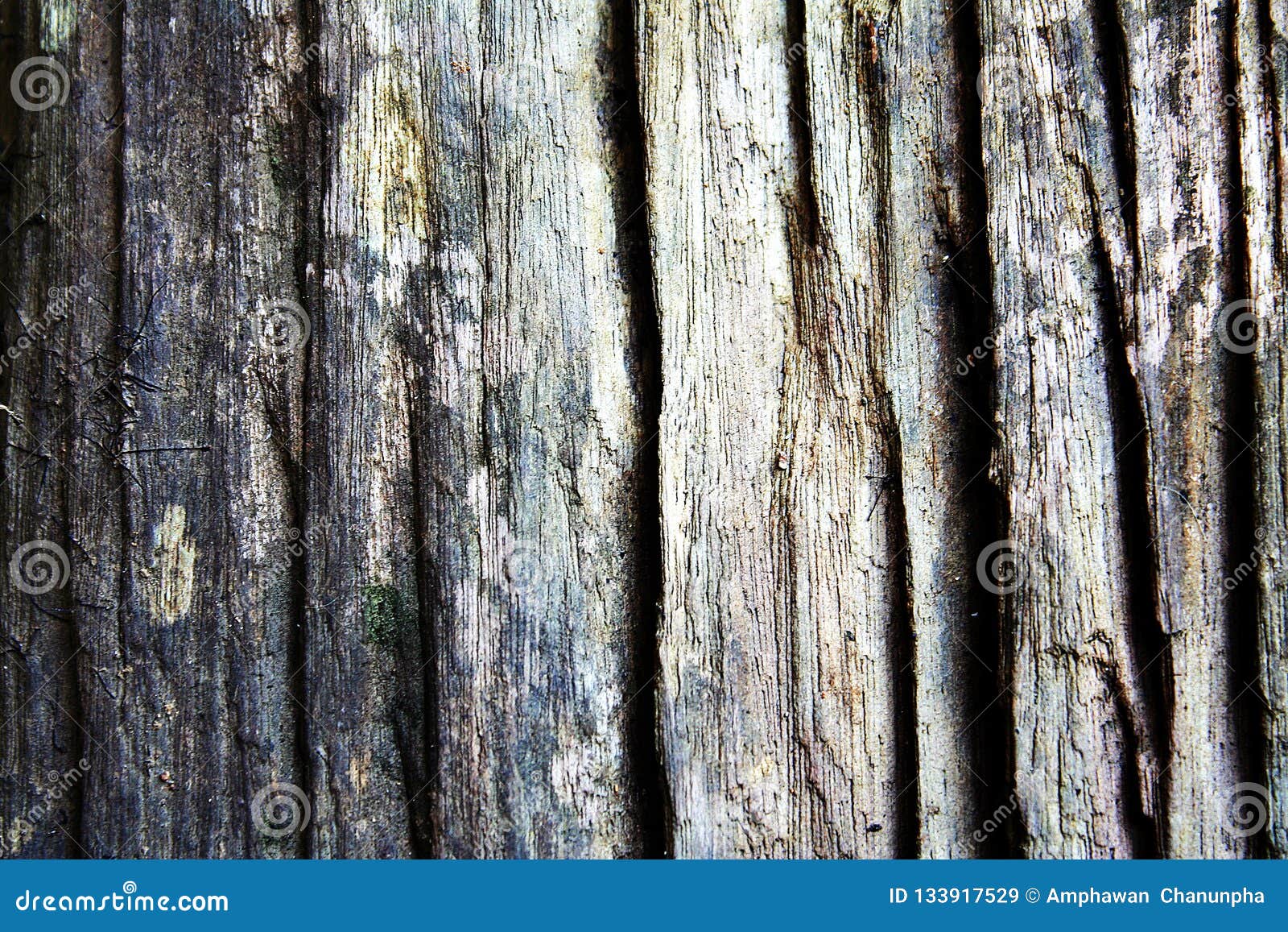 Texture of Old Wood Overlap on Vertical Stock Image - Image of natural ...