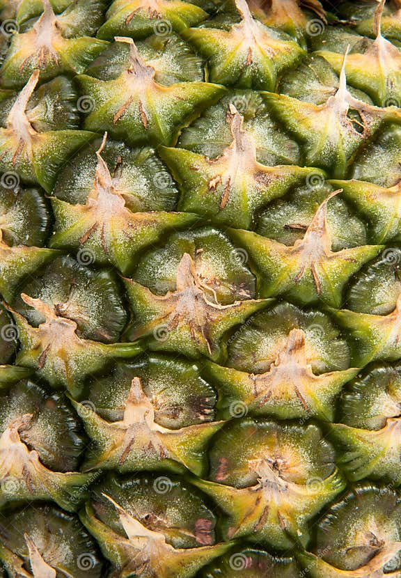 Close Up Texture Pineapple Background Stock Photo - Image of freshness ...