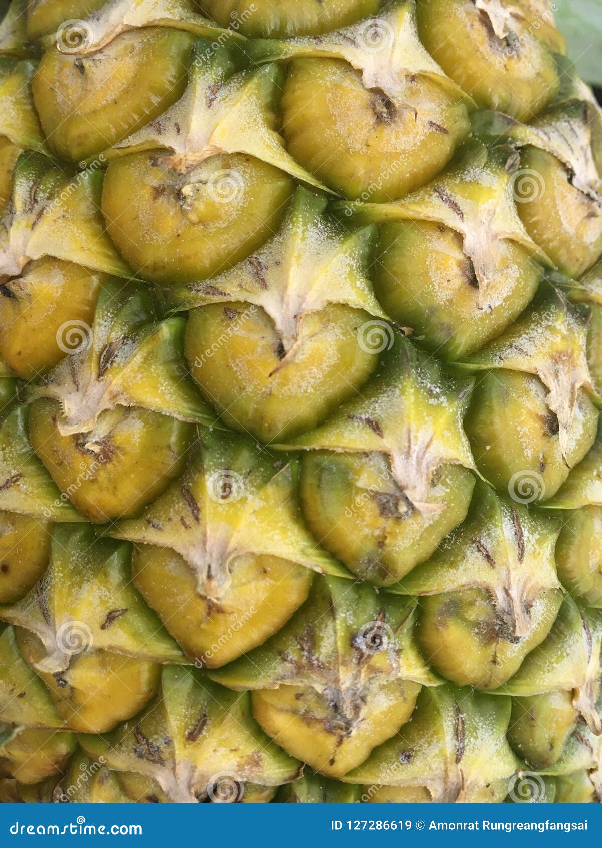 Close Up Texture of Pineapple Skin Stock Image - Image of organic ...