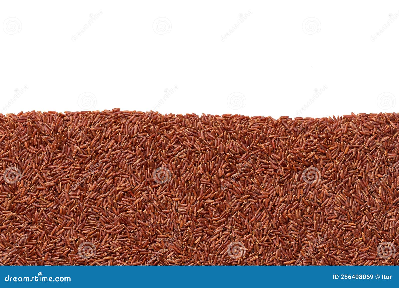 Close-up Texture of Raw Red Rice with Copy Space for Text Stock Image ...