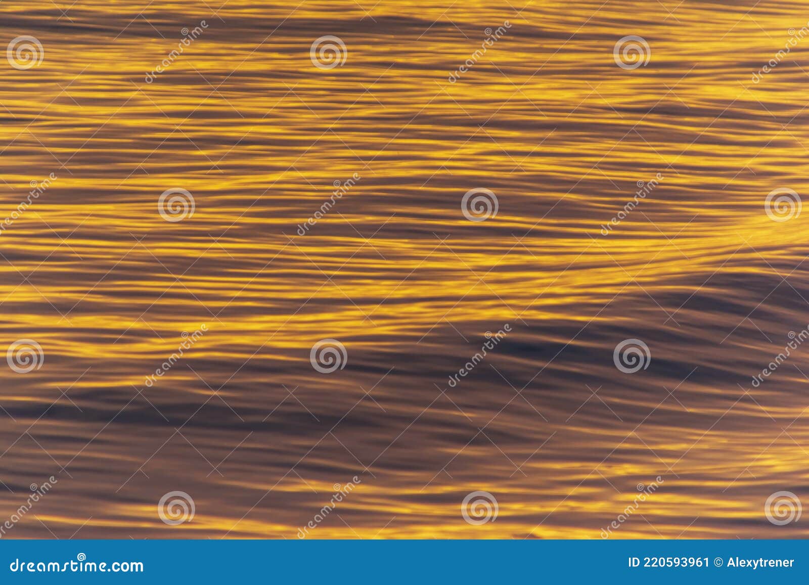 Close-up Texture Water Surface Sensitive Shape Gold Textures Solar ...
