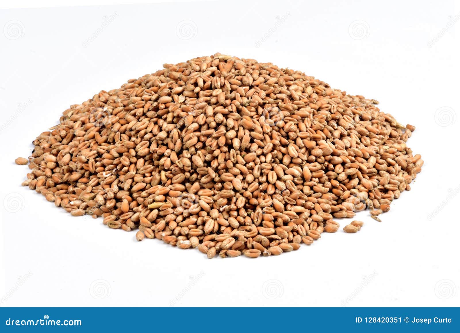 Close Up of a Texture Wheat Stock Image - Image of natural, eating ...