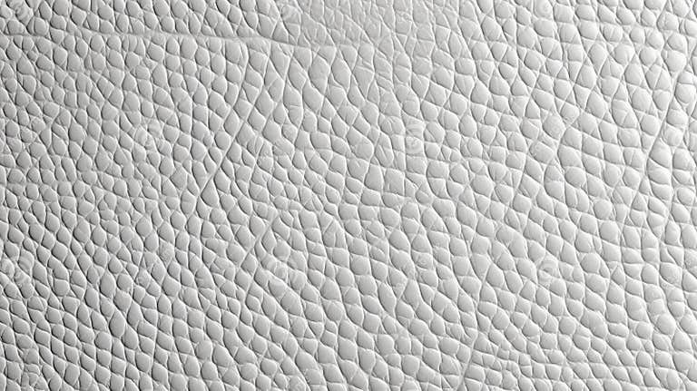 Close-up Texture of White Leather with a Pattern of Small, Raised Dots Stock Illustration ...