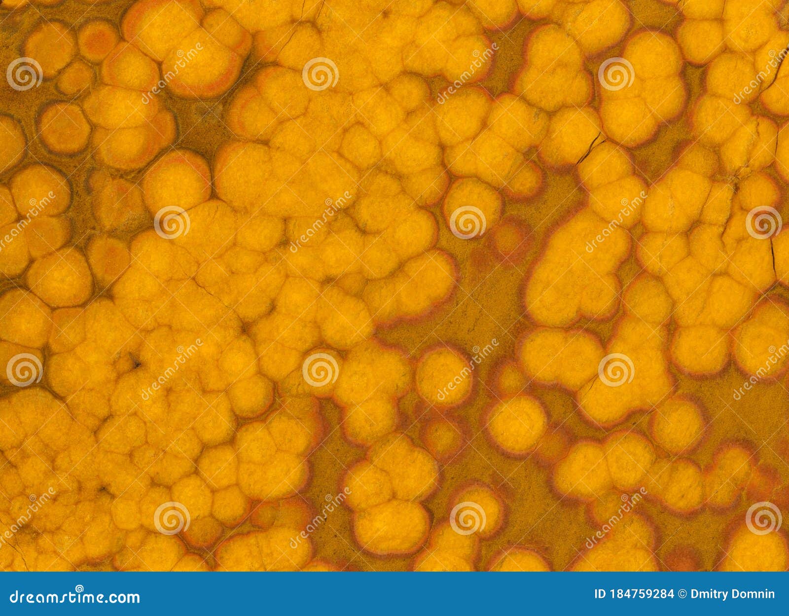 Close Up Texture of Yellow Spotted Jasper Stock Photo - Image of jasper ...