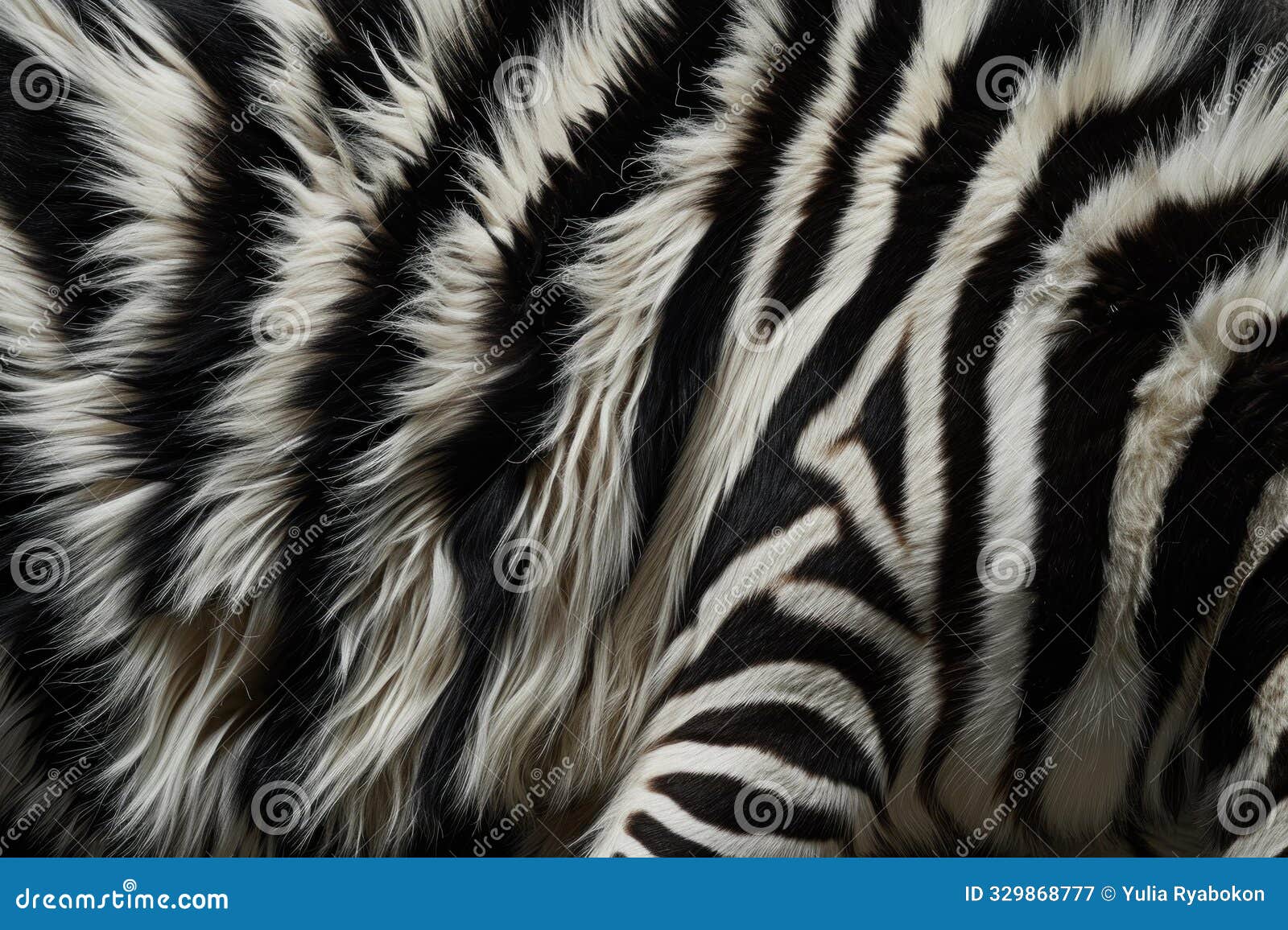 Close-up Texture of Zebra Fur Patterns Stock Illustration ...