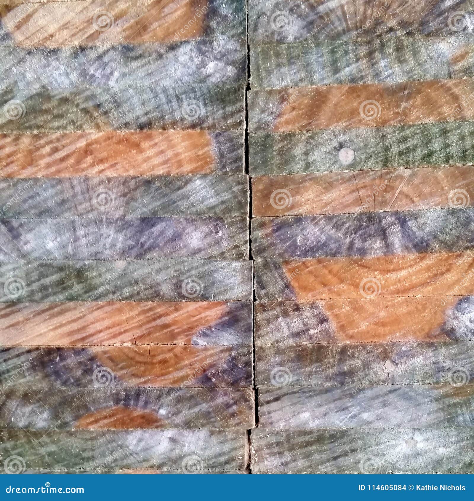 Close Up of Timber Textures on Cut Wood Stock Photo - Image of barn ...