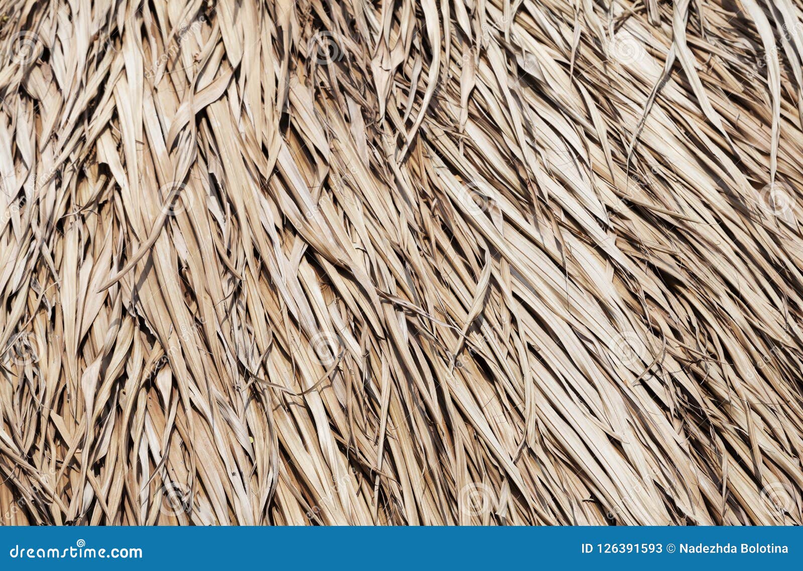 Thatched roof texture stock image. Image of countryside - 126391593
