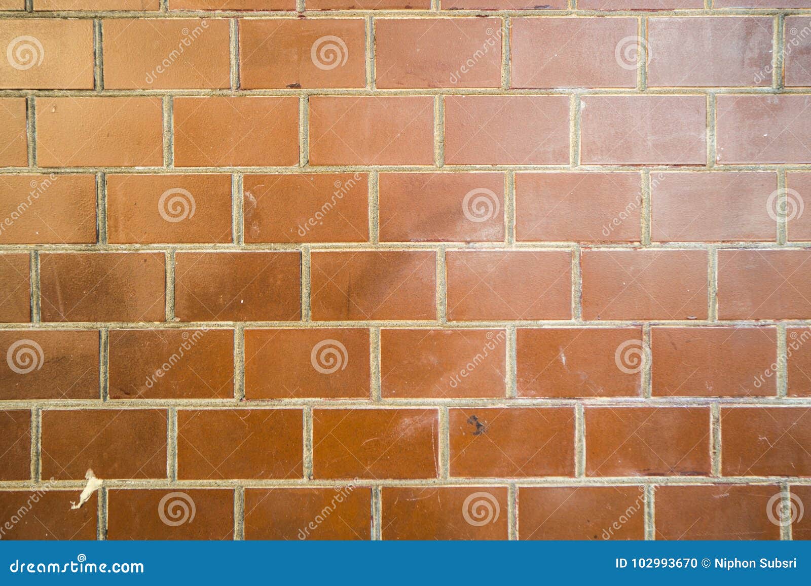 The Close Up Tile Surface Texture Image Stock Photo - Image of mosaic ...