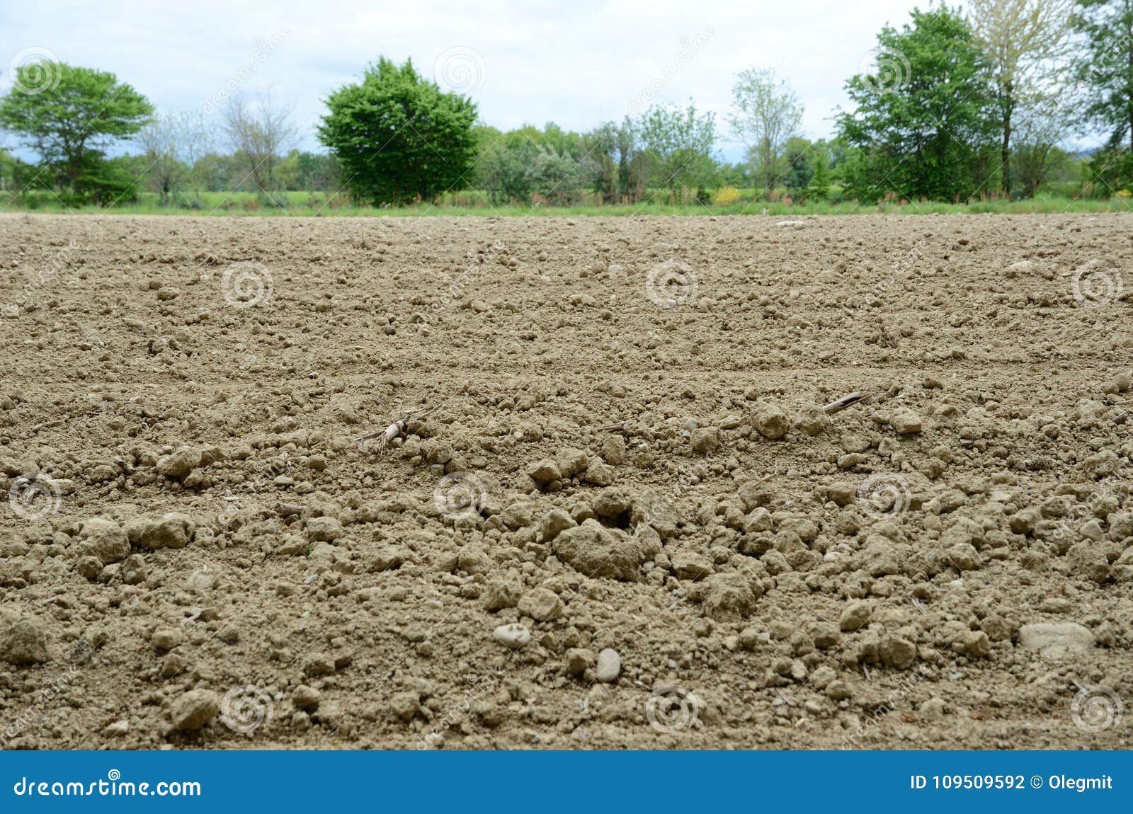 Close-up of tillage stock photo. Image of urban, ploughing - 109509592
