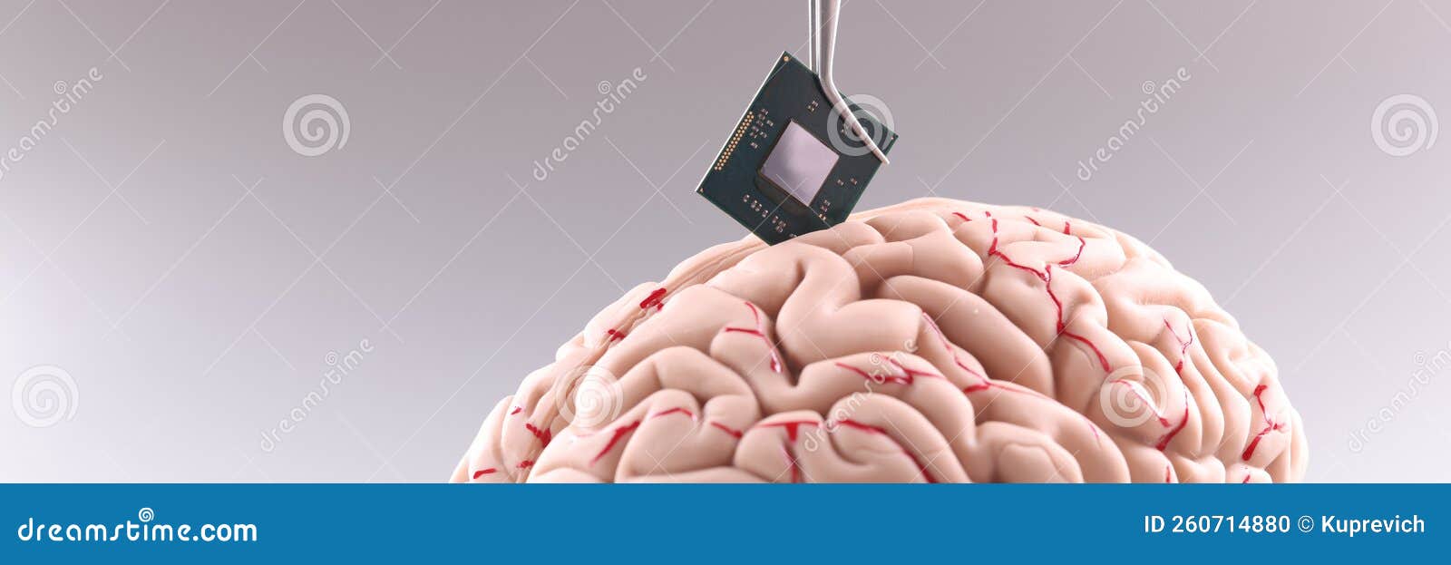 Tiny Computer Chip Detail in Human Brain Stock Photo - Image of ...