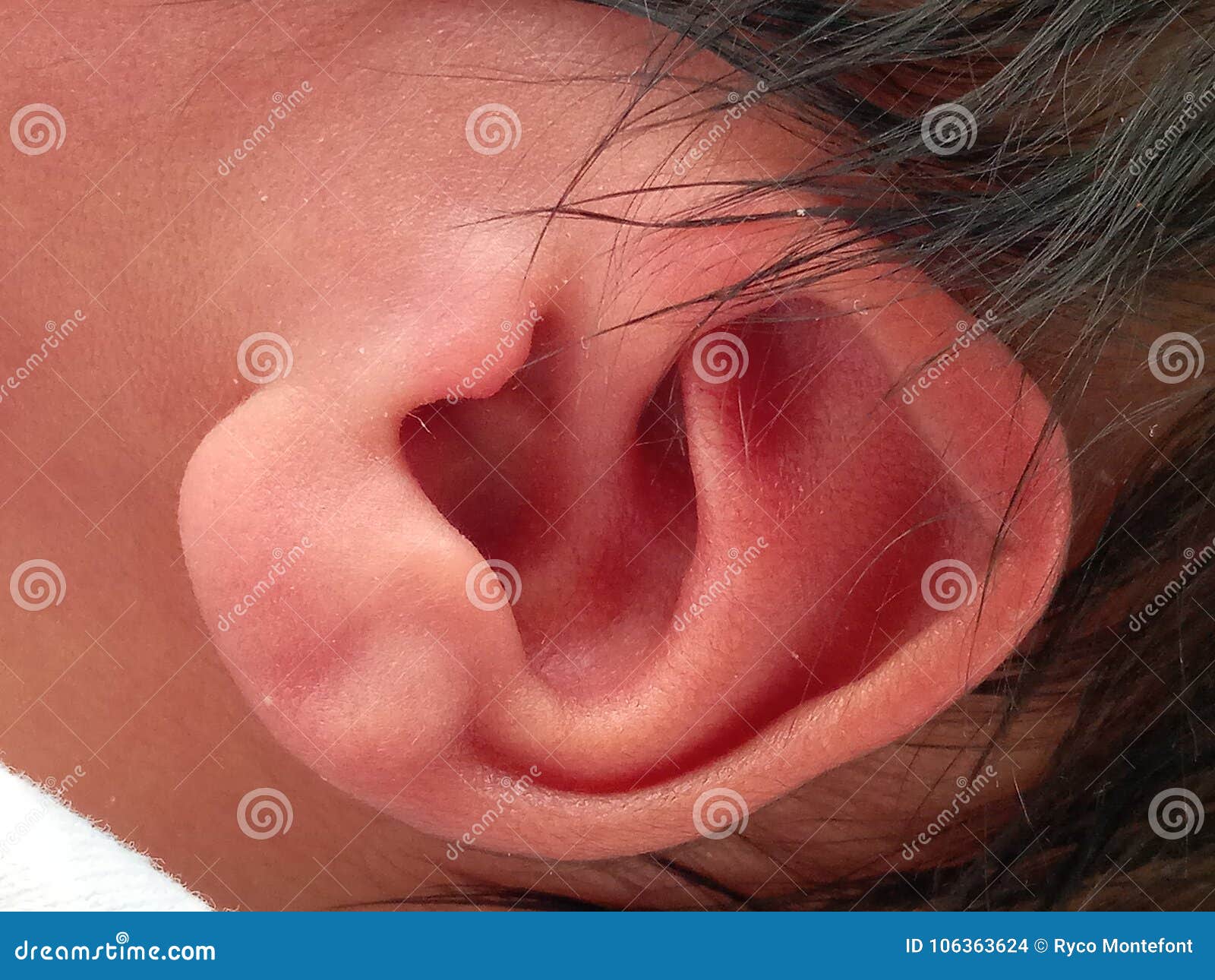 Cute newborn babys ear stock photo. Image of tiny, babys - 106363624