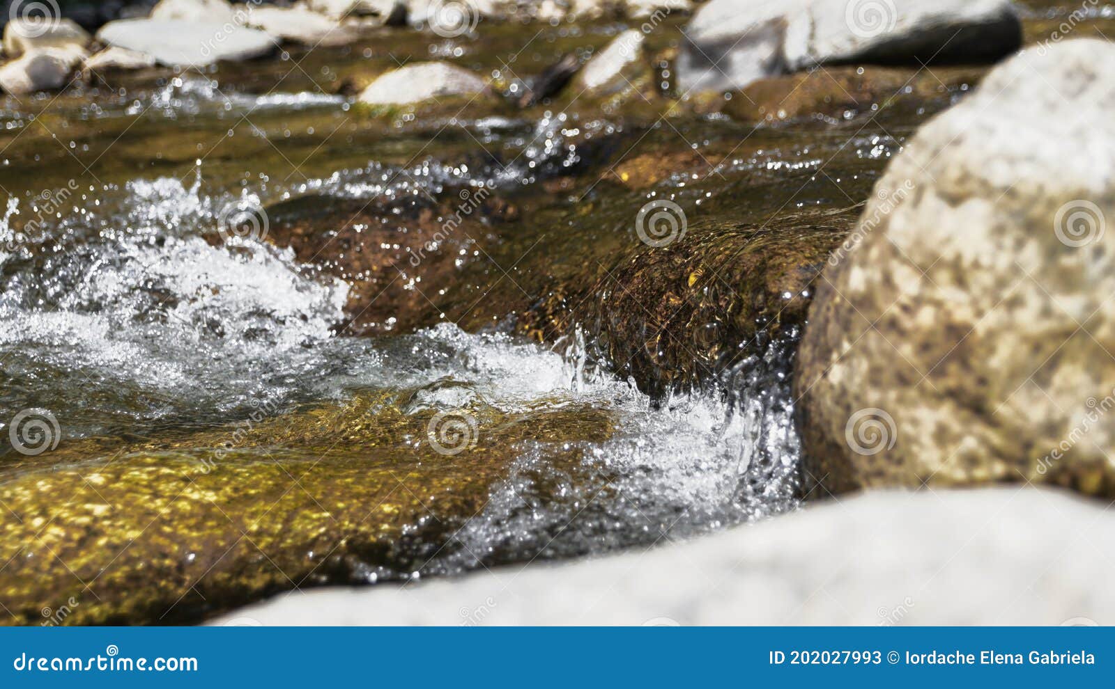 Close up to a strem stock image. Image of gorgeous, scenery - 202027993