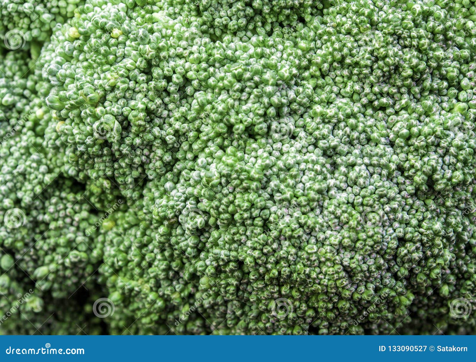Surface Texture of Freshness Broccoli Vegetable Stock Image - Image of ...