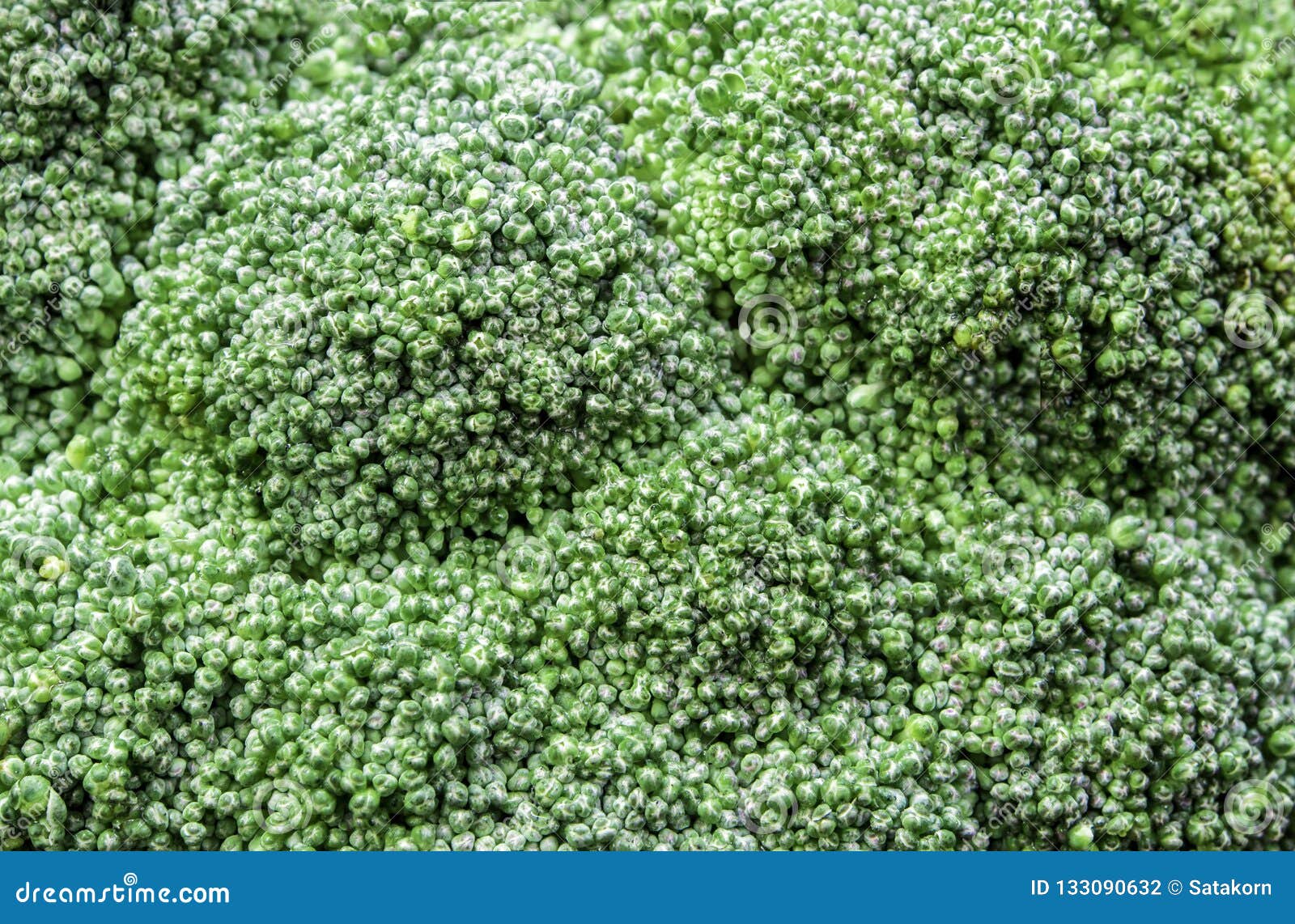Surface Texture of Freshness Broccoli Vegetable Stock Photo - Image of ...