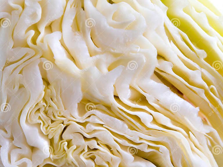 Close Up To Texture of Inside a Cabbage Stock Photo - Image of white ...