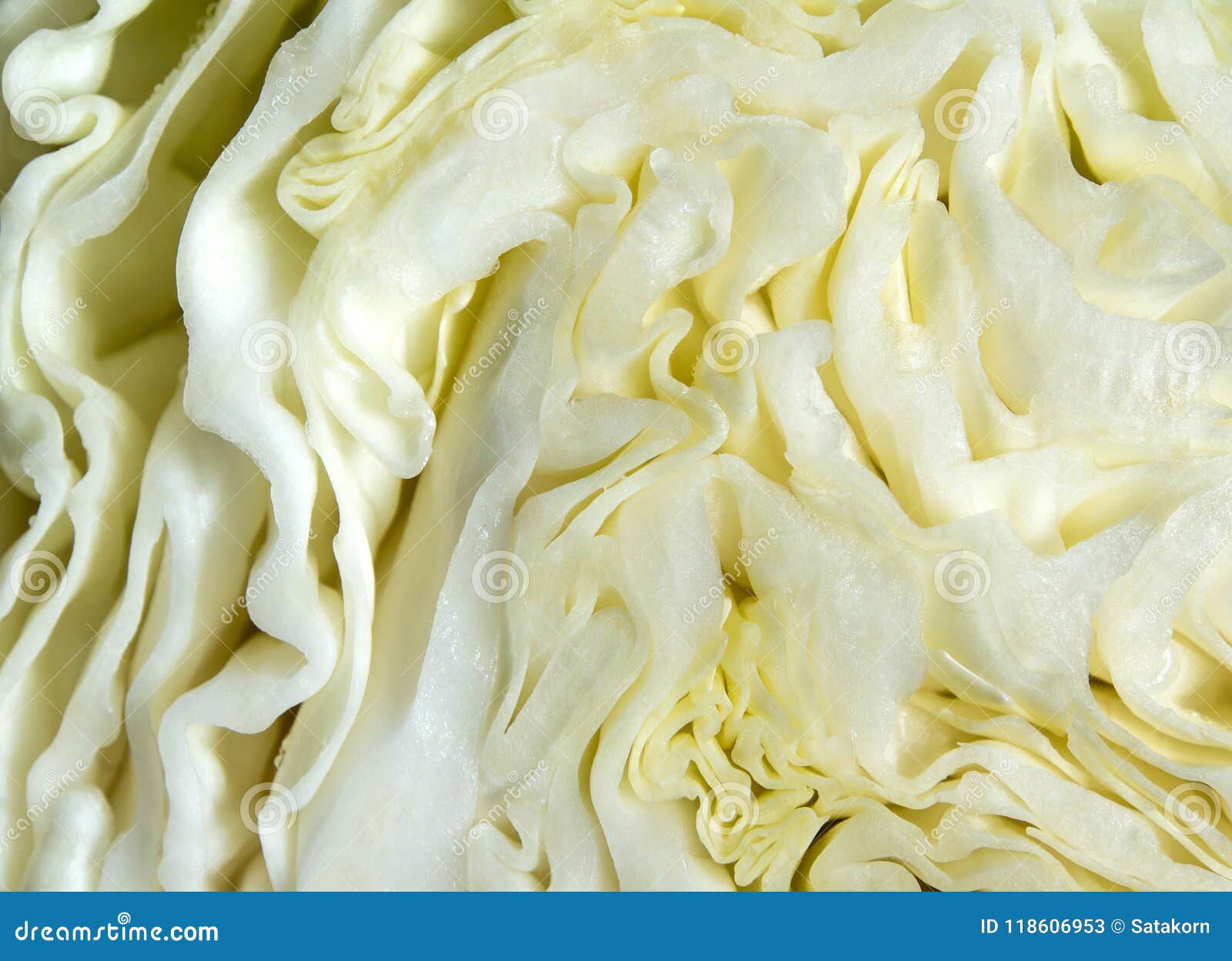 Close Up To Texture of Inside a Cabbage Stock Image - Image of bright ...