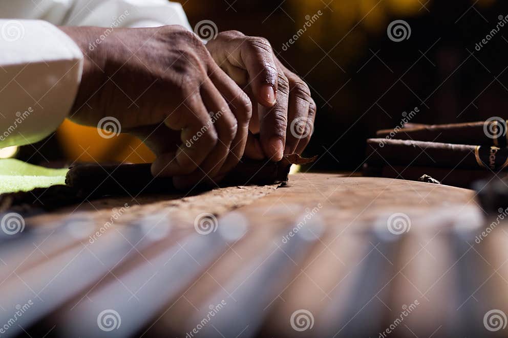 Close-up of a Tobacco Making Process Stock Image - Image of production ...