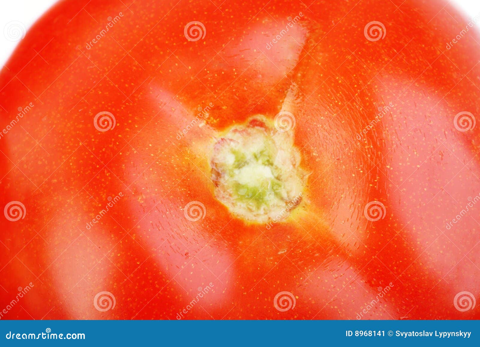 Close up of tomato stock image. Image of meal, natural - 8968141