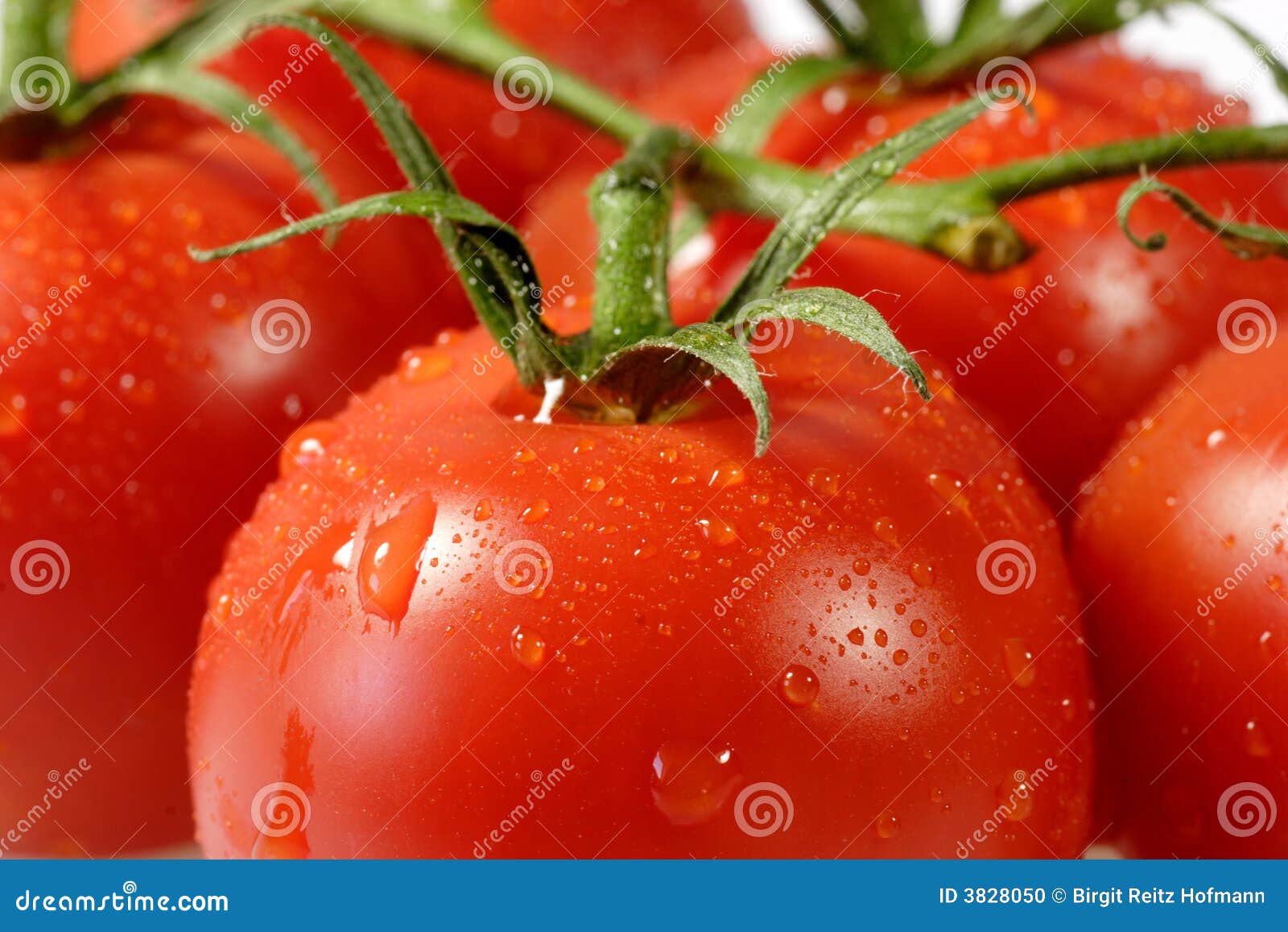Close up from tomatoes stock photo. Image of skin, eating - 3828050