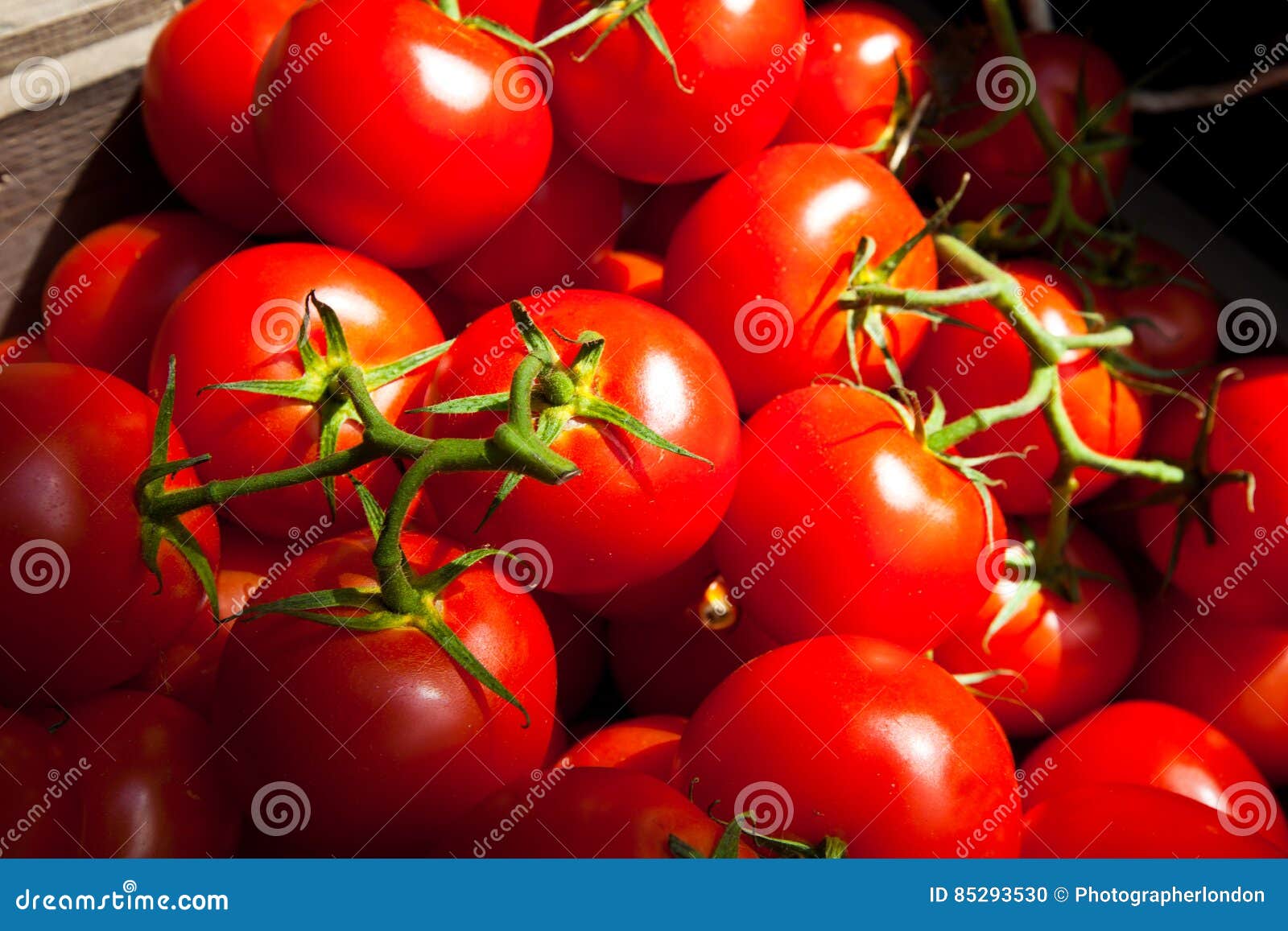 Close up of tomatoes stock photo. Image of market, fullframe - 85293530