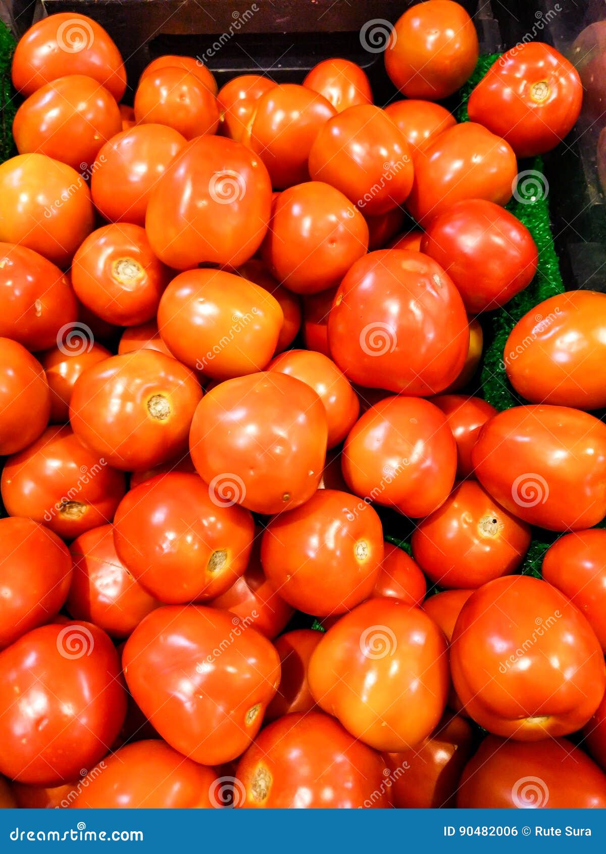 Close Up Tomatoes from Top View Stock Photo - Image of fall, background ...