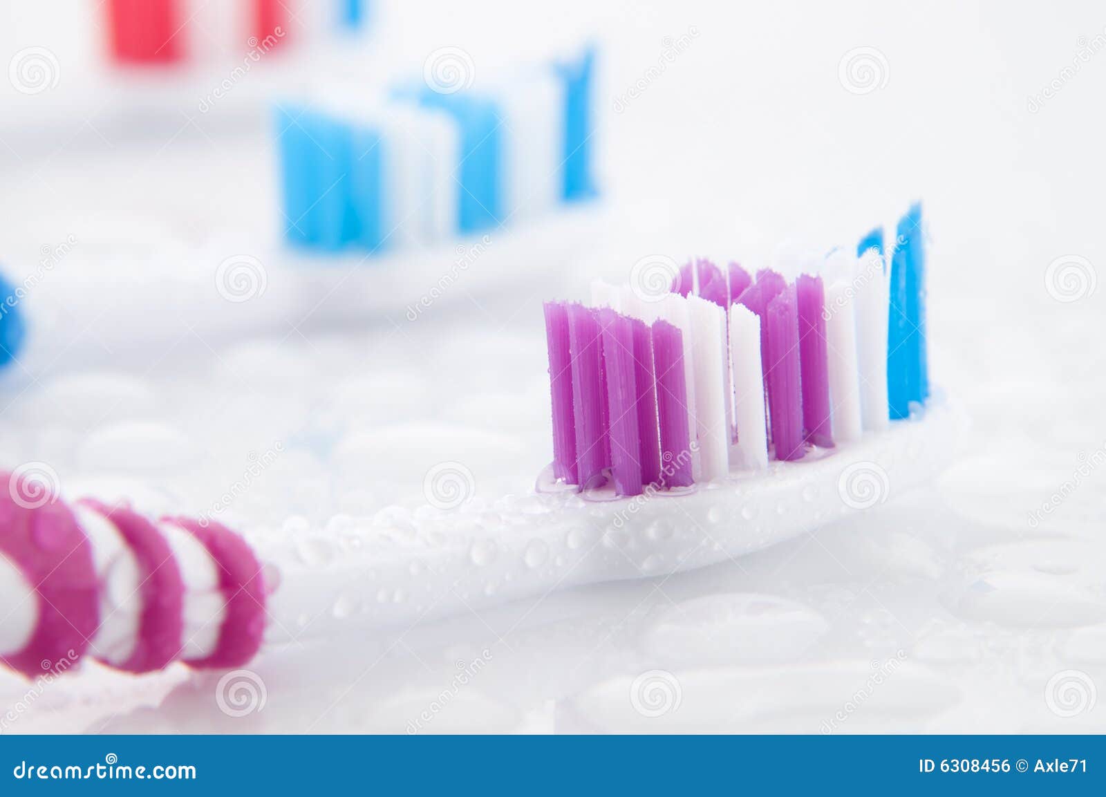 Close up of toothbrushes stock photo. Image of freshness - 6308456