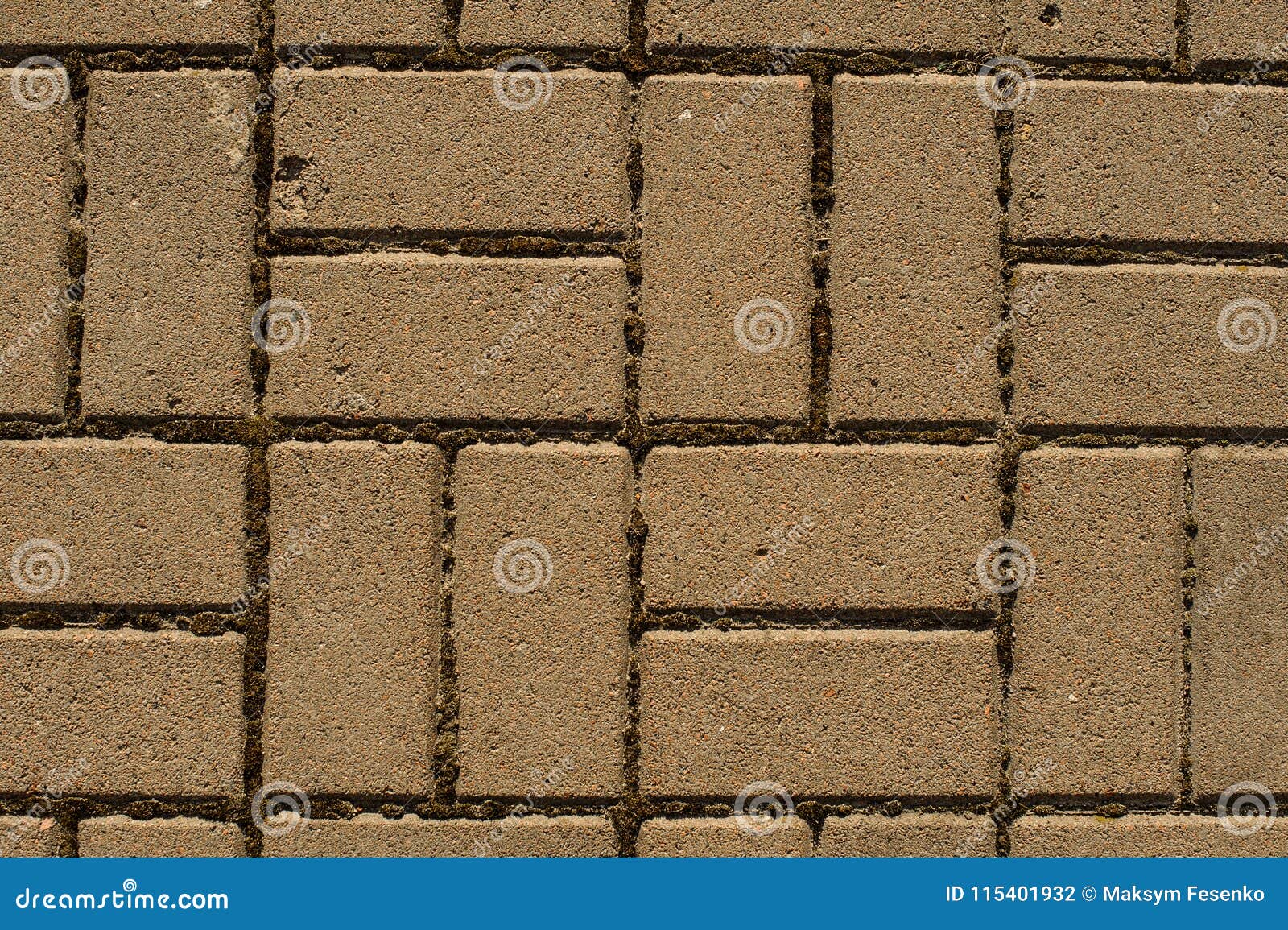 Close Up Top Background Macrophotography of Paving Slab Stock Photo ...