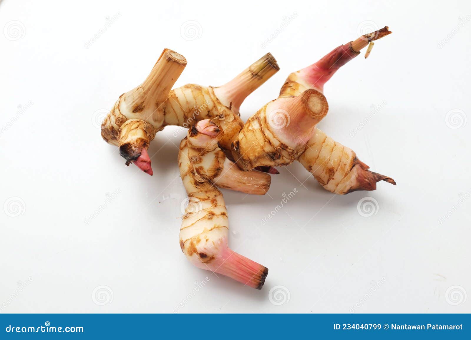 Close Up and Top View Fresh Galangal, Vegetables Isolate on a White ...