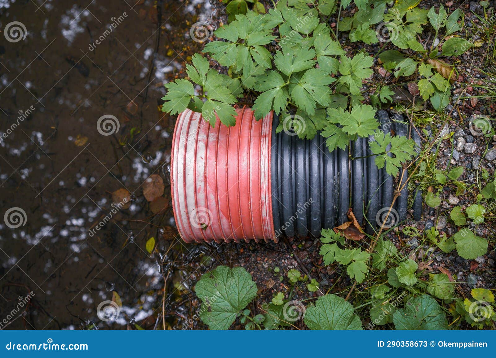 Close Up, Top View of the PVC Drain Pipe Stock Image - Image of ...