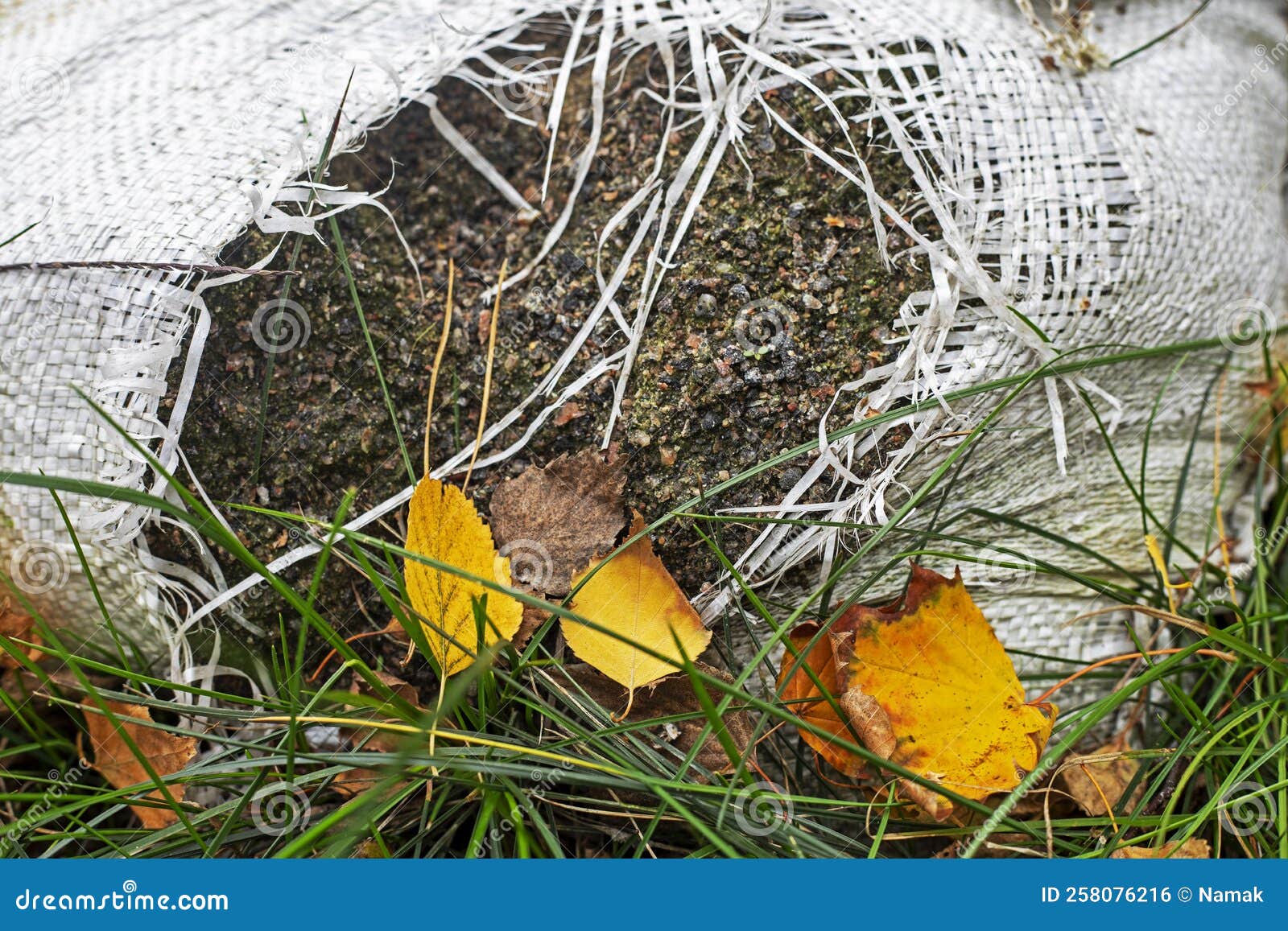 Close-up of a Torn Sandbag on a Cloudy Day with Yellow Leaves, Mining ...