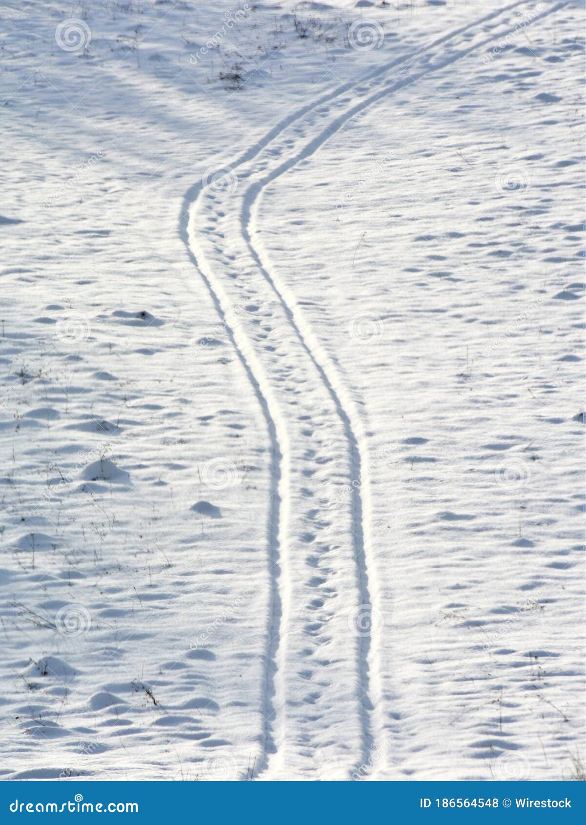 Close Up of the Traces of a Chariot on the Snow Stock Photo - Image of ...