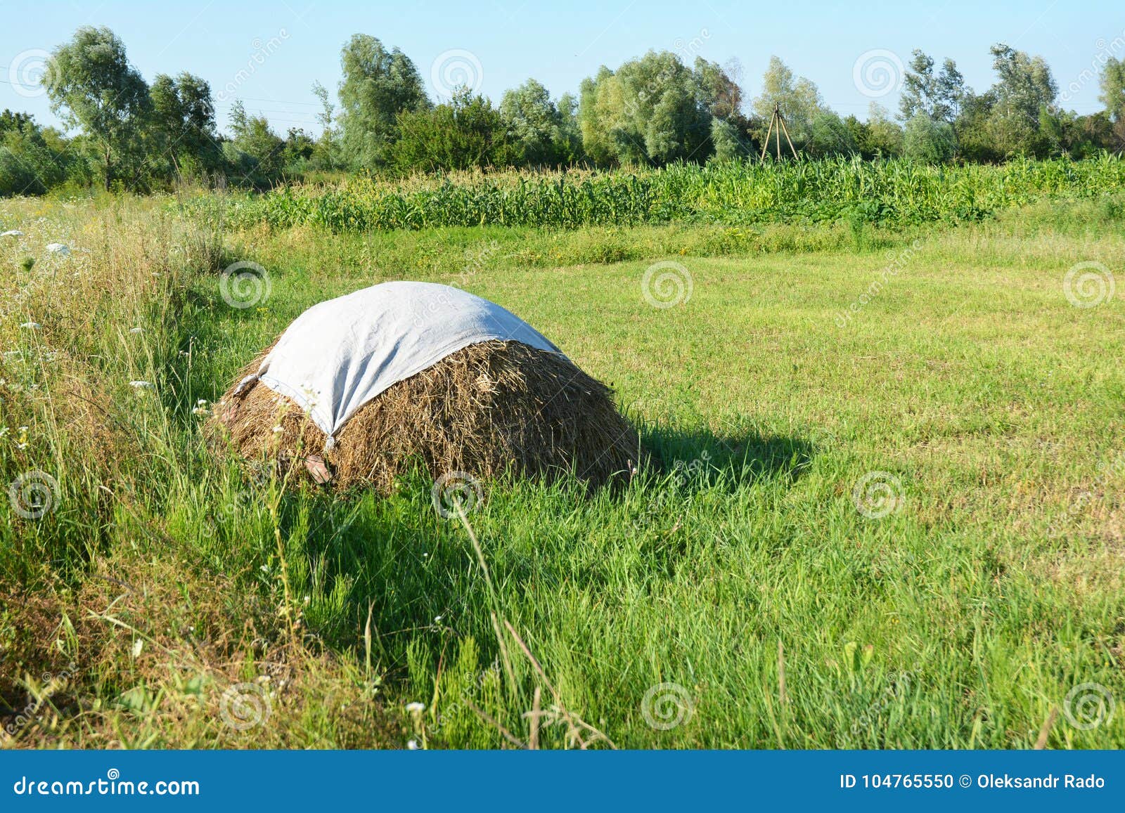 Traditional Hay Stack. Hay Stack in the Countryside Field Stock Photo ...
